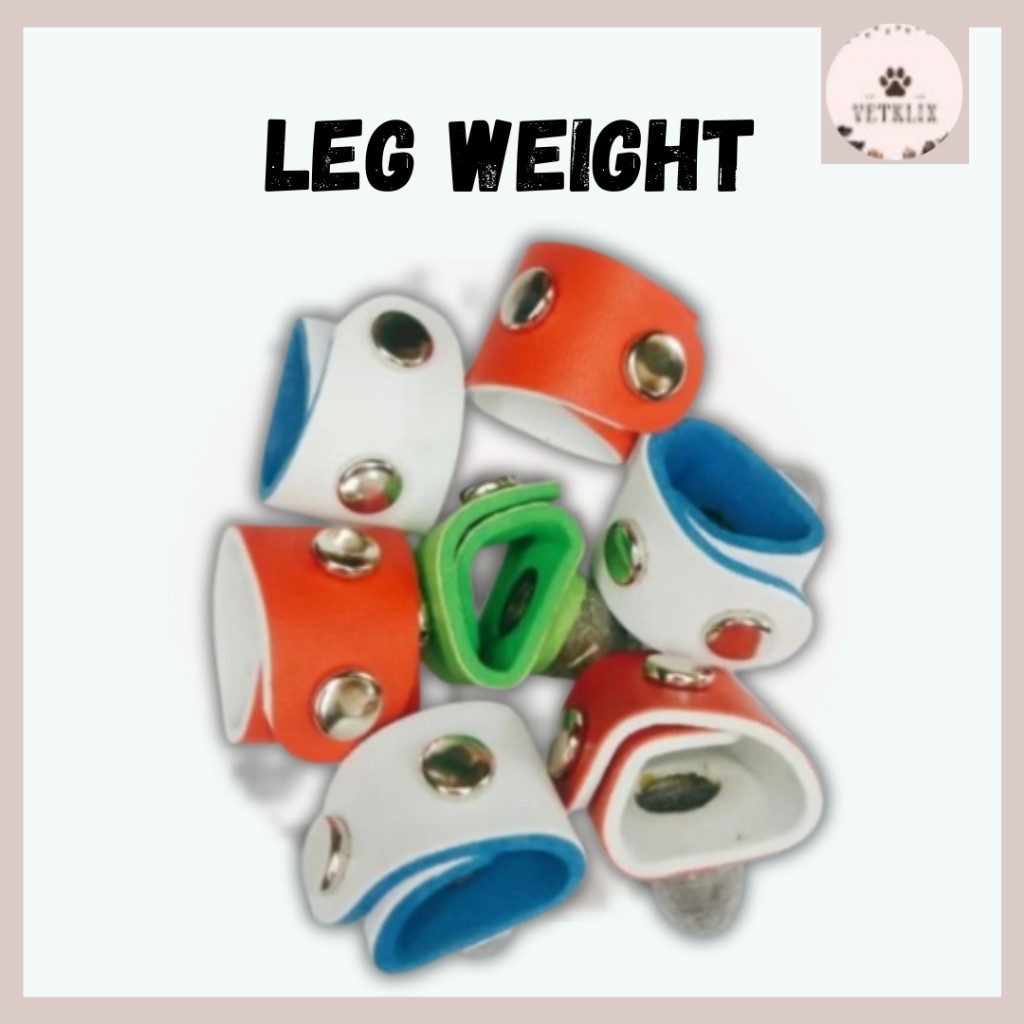 [VETKLIX] Buy 6pcs Get 1pc Leg Weight for Rooster Balancer / Gamefowl ...
