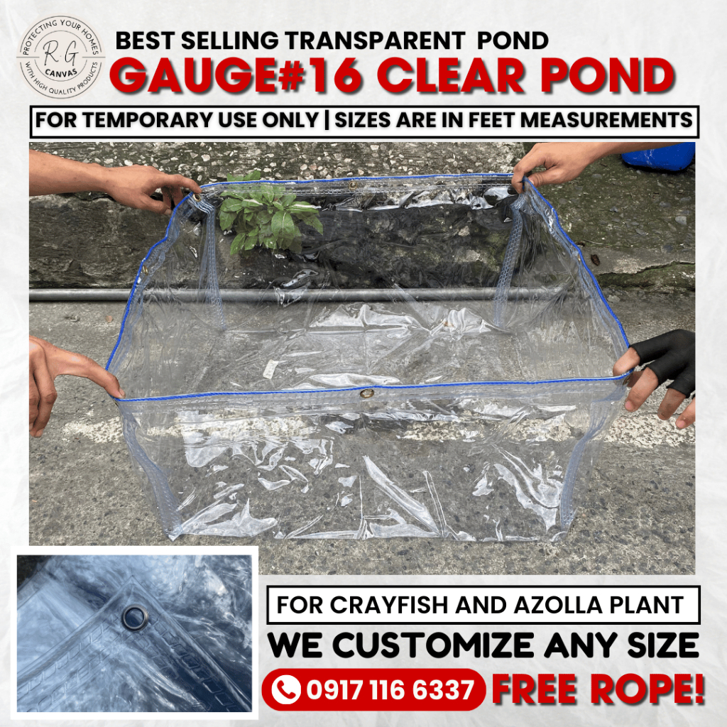 6x2x1ft Clear Pond Gauge#16 Transparent Azolla Pond fior Crayfish ...