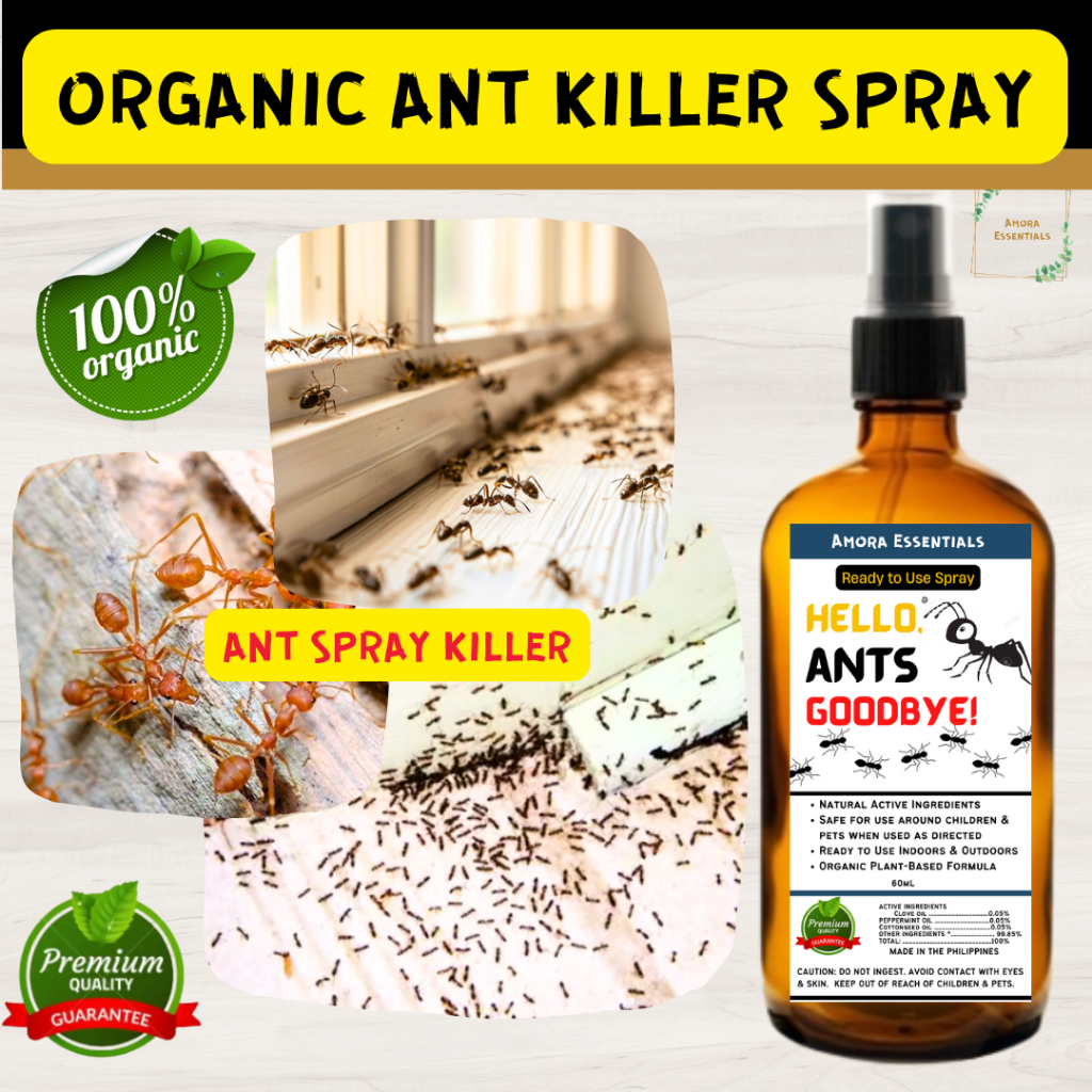 Amora ORGANIC ANT Killer SPRAY, Ant Killer, Ant spray killer organic ...