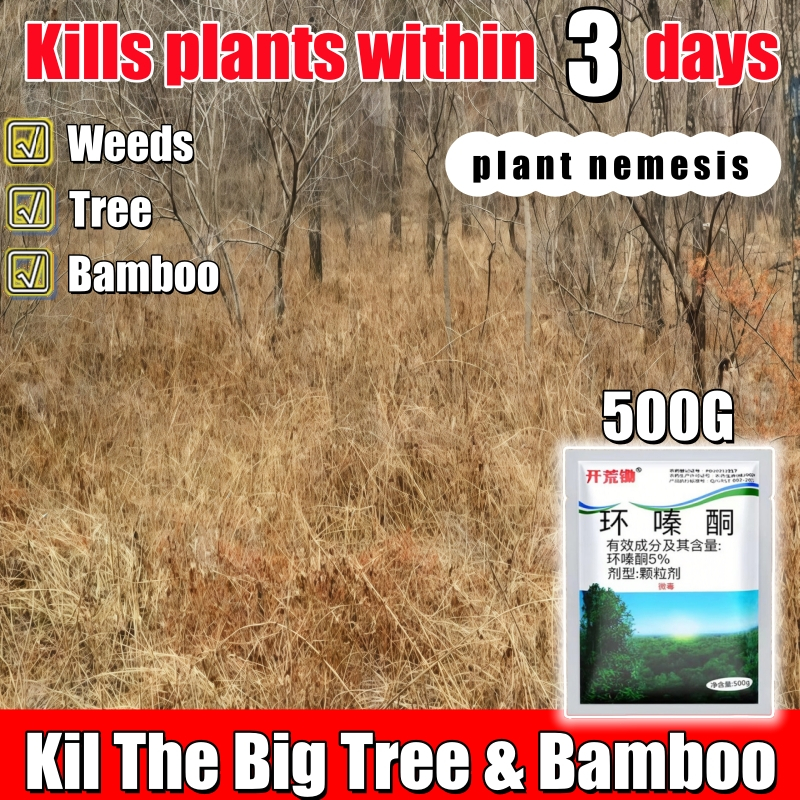 Herbicide Herbicide to kill tree Hexazinone root removal Kill tree and ...