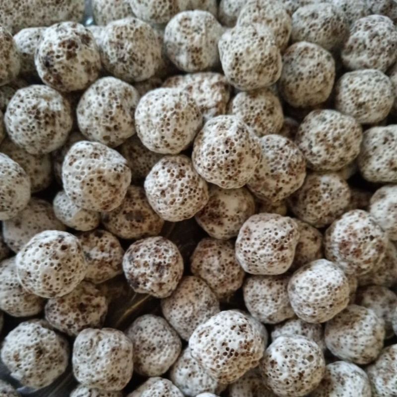 Bacteria Balls 500g and 1Kg pack (Yellow/peppered) | Shopee Philippines