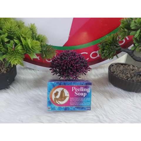 **ORIG SCD BLEACHING SOAP || PEELING SOAP **COD AVAILABLE! | Shopee ...