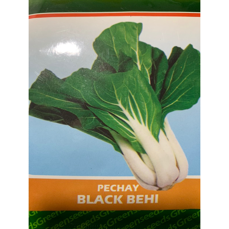 Pechay Seeds repacked | Shopee Philippines