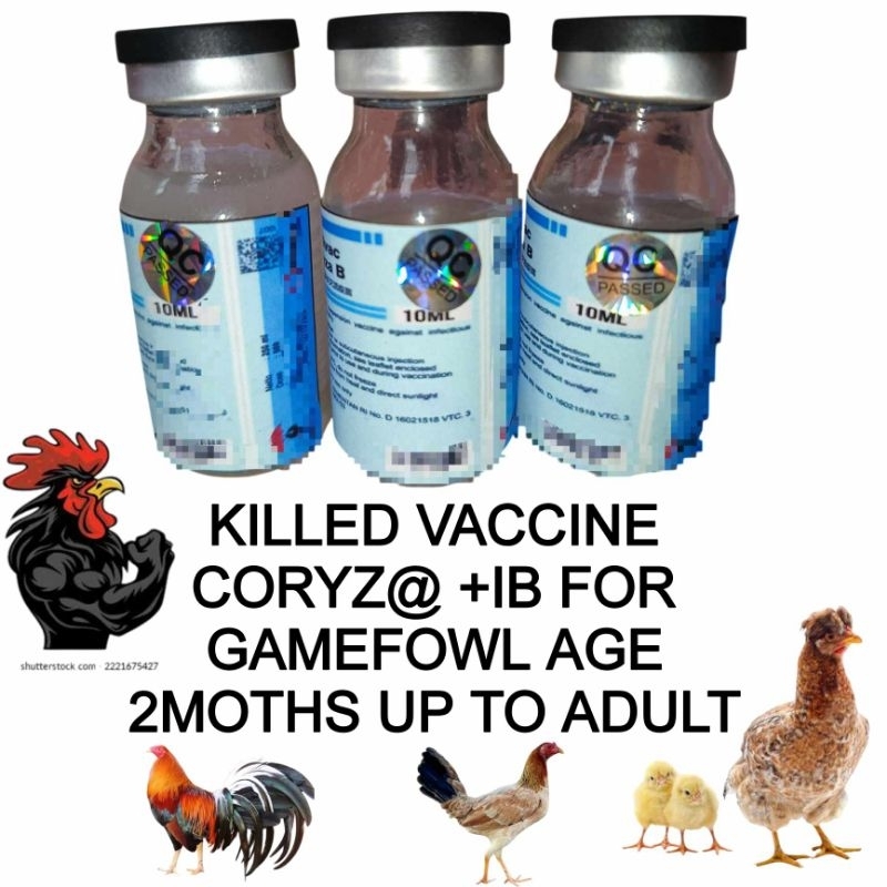 Cryza with ib vccne for gamefowl/ chicken animals | Shopee Philippines