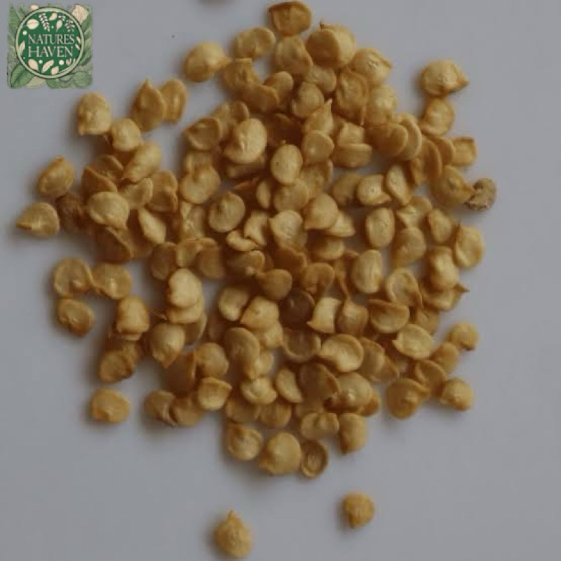 Siling Green/ Siling Panigang seeds for planting (new harvest) | Shopee ...