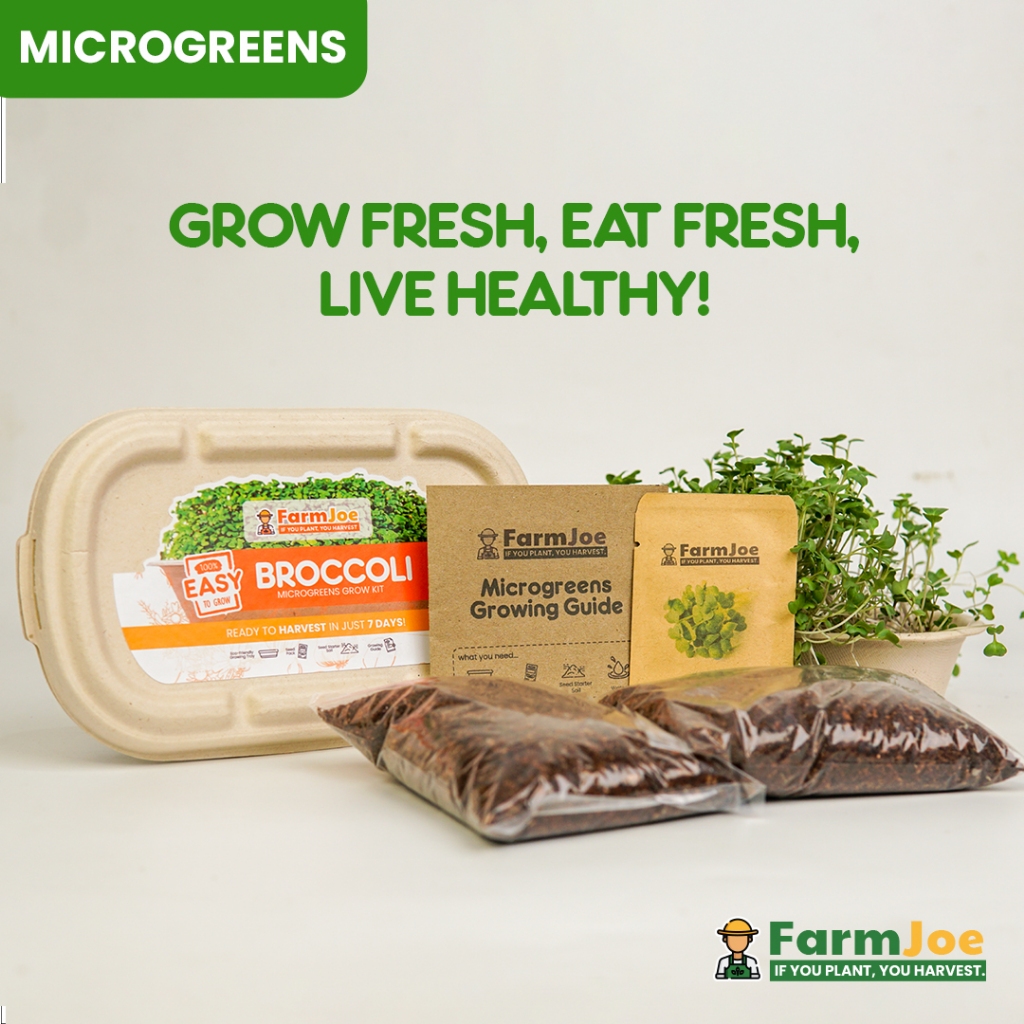 Broccoli I Microgreens I Microgreens Grow Kit I Grow Kit I FarmJoe ...