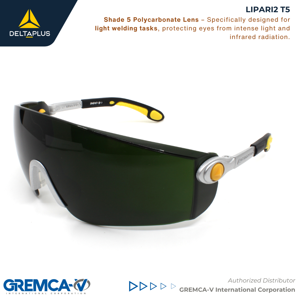 Delta Plus LIPARI2 T5 | Welding Safety Glasses | Shade 5 Lens | Anti ...