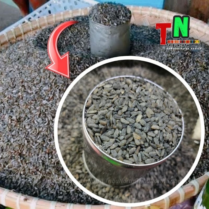 Dudumen Rice - Pinipig Biko | Per Kilo | TribuNorth (COD) | Shopee ...