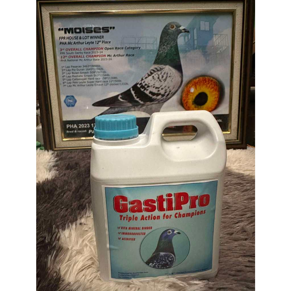 GastiPro 1 liter bottle, Triple Action for Champions, Gasti Pro ...