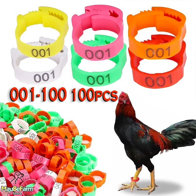 50/100pcs chicken foot ring poultry leg band ring multicolor poultry ...