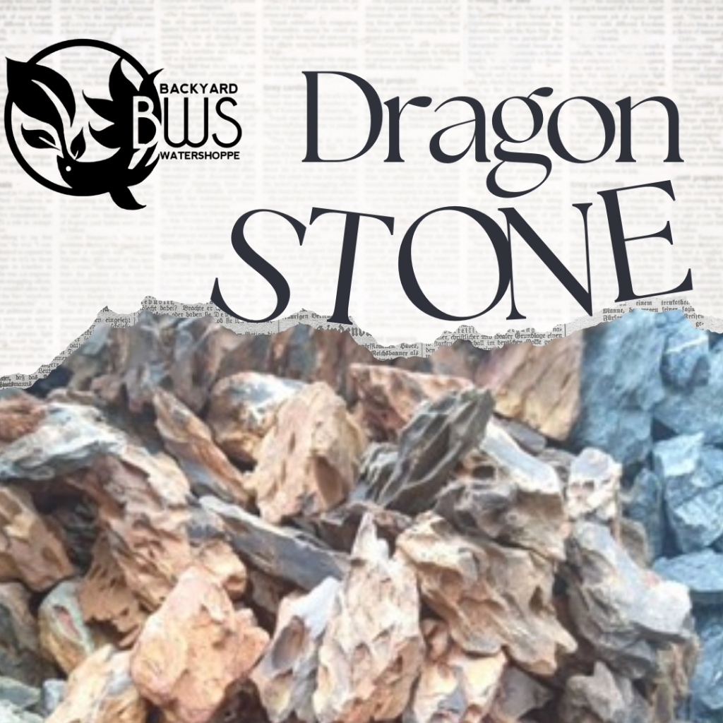 Dragon stones for aquascaping by BWS Petshop | Shopee Philippines