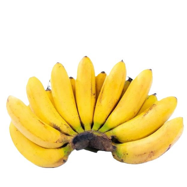 Fresh Lakatan Banana (Lacatan) 1kg | Shopee Philippines