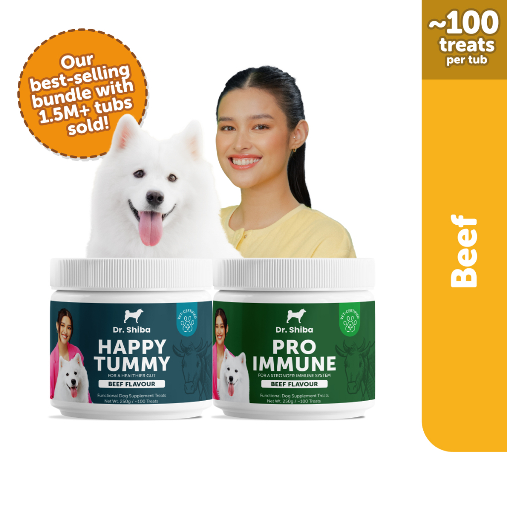 Dr Shiba Happy Tummy & Pro Immune Dog Treats Dog Multivitamins: Dog ...