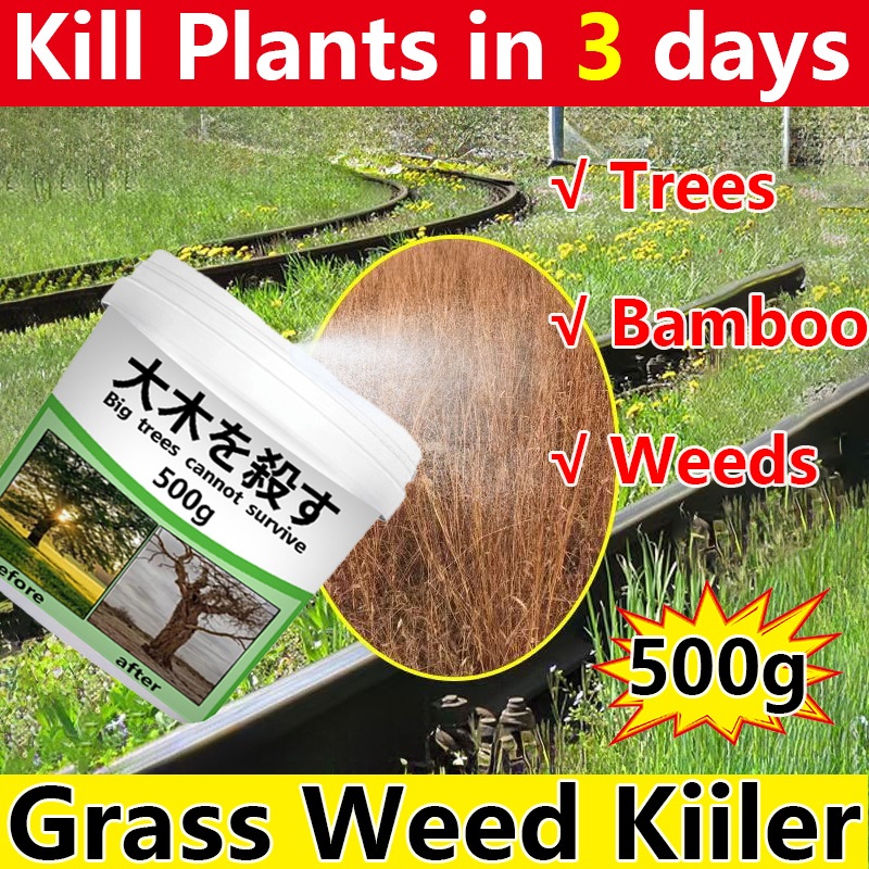 Herbicide Grass Killer 500G Tree Killer Chemical Hexazinone Root ...