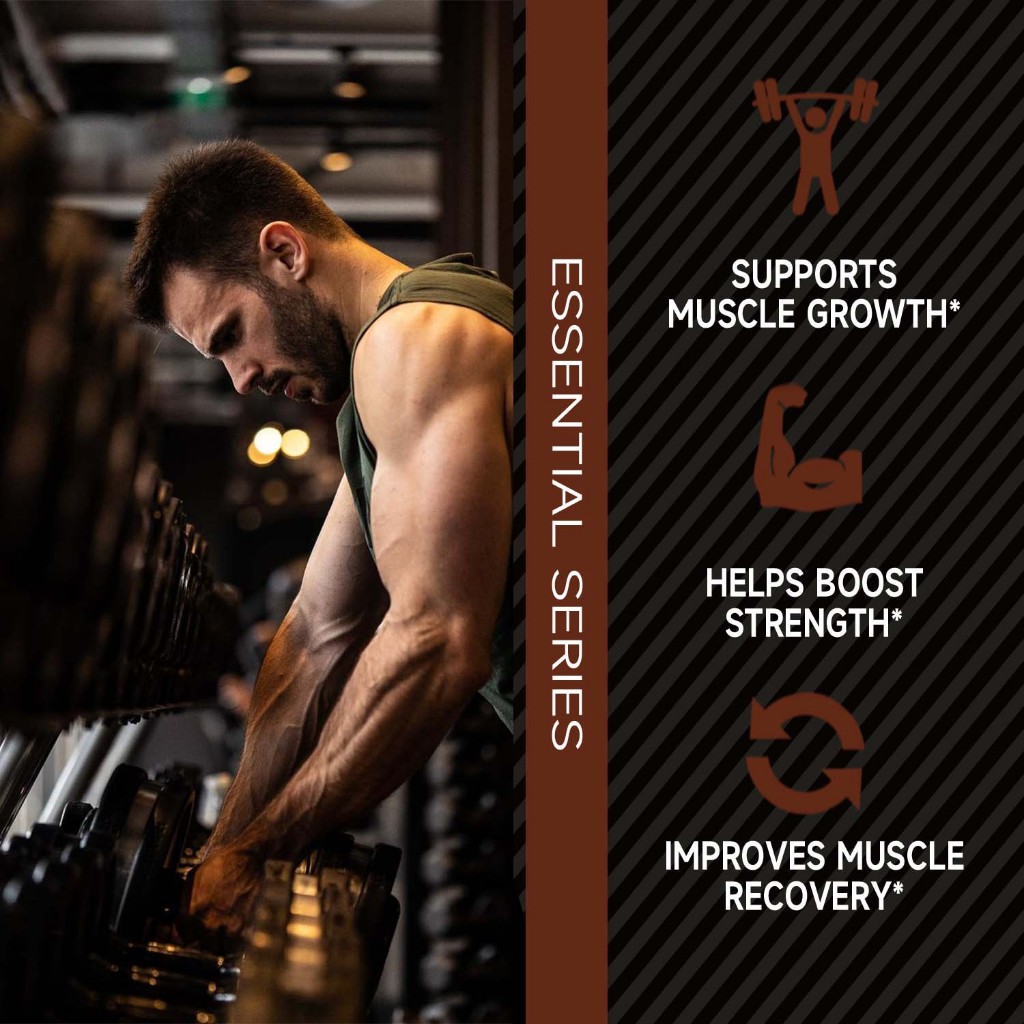 Ozmolts Weight Gainer Protein Powder Chocolate Creatine Athlene Mass ...