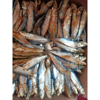 Shop dried tuyo fish for Sale on Shopee Philippines
