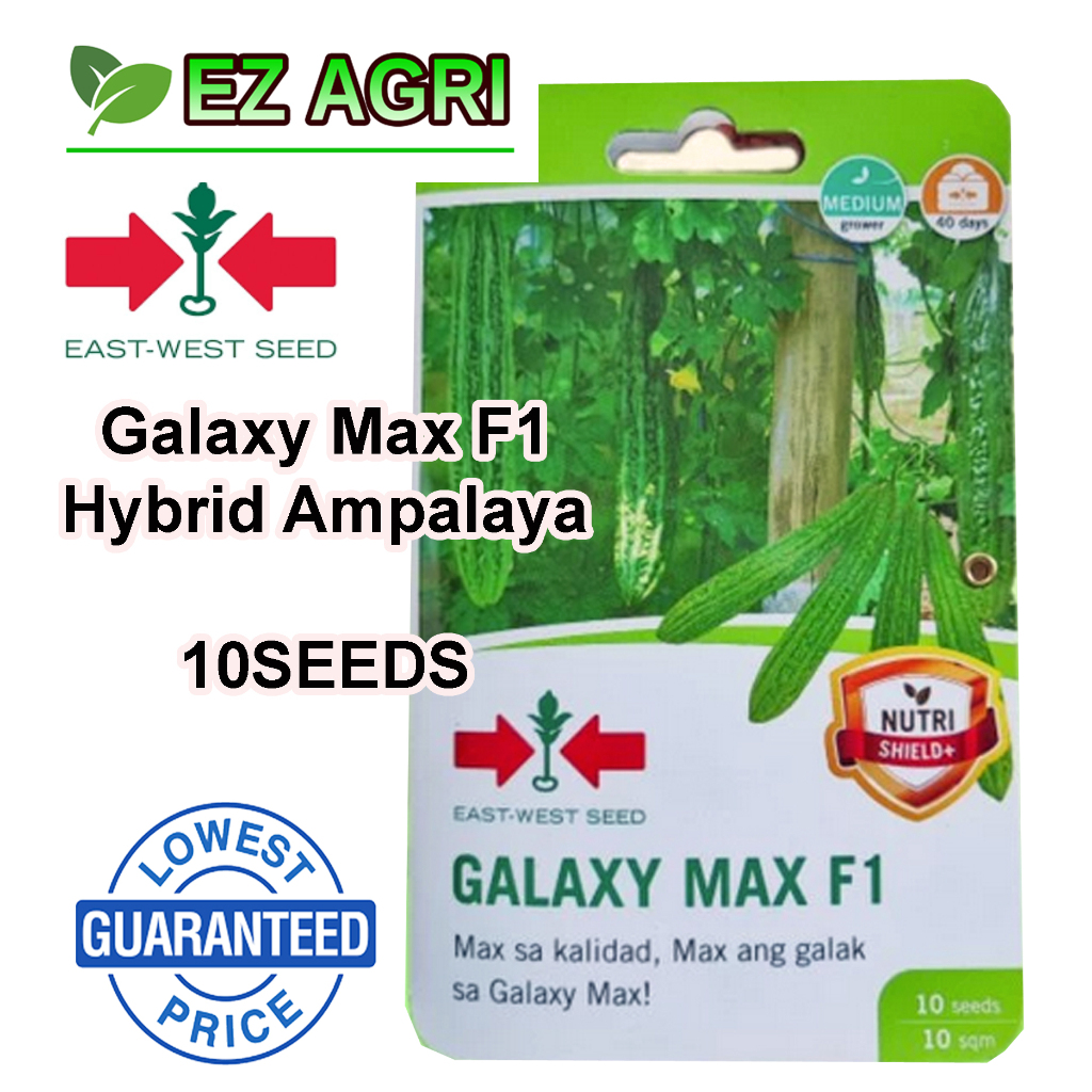 Fast Shipping Galaxy Max F1 Hybrid Ampalaya Bitter gourd Grow Pack - East West SeedS vegetable ...