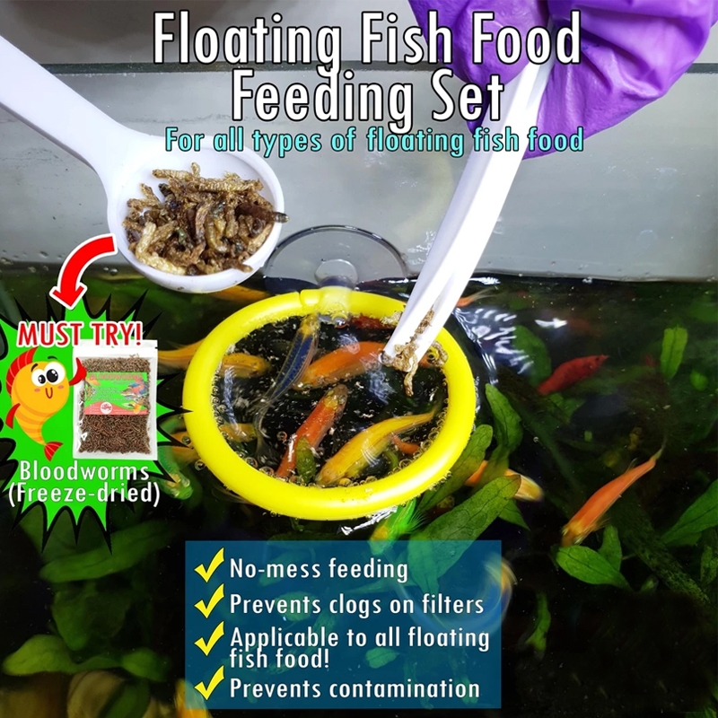 3Pcs/Set FEEDING RING for fish food feeding Kit floater for aquarium ...