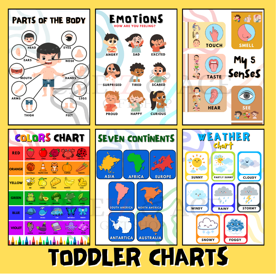 Cheiz&Ace - Toddler Laminated A4 Learning Charts for Homeschooling Kids ...