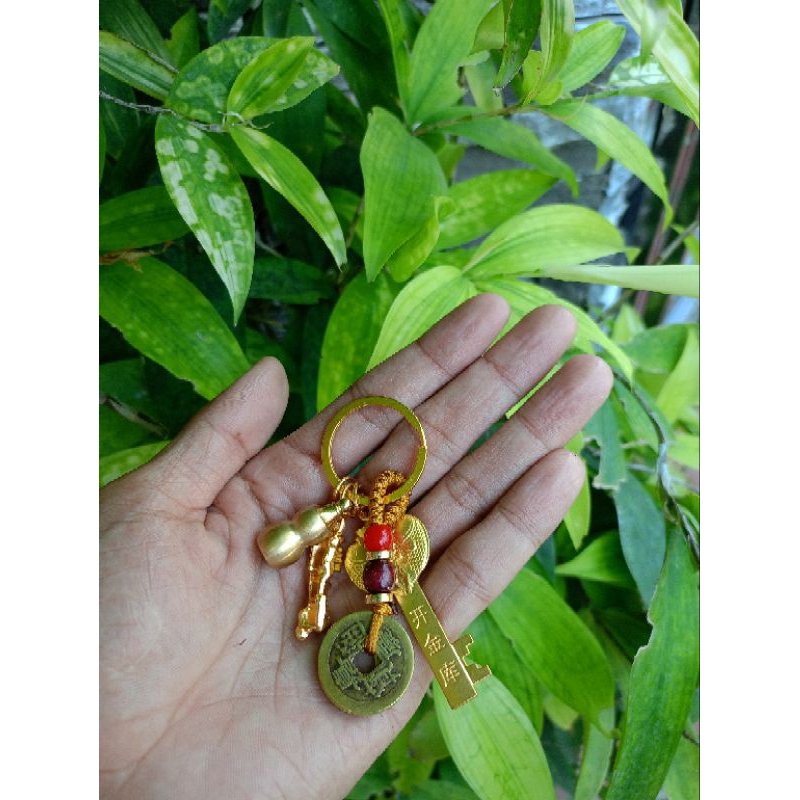 Fengshui All in one Keychain with susi ng tagumpay | Shopee Philippines