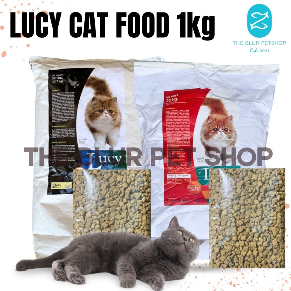 1kg Lucy 26 All Stages Adult Kitten Cat Dry Food | Shopee Philippines