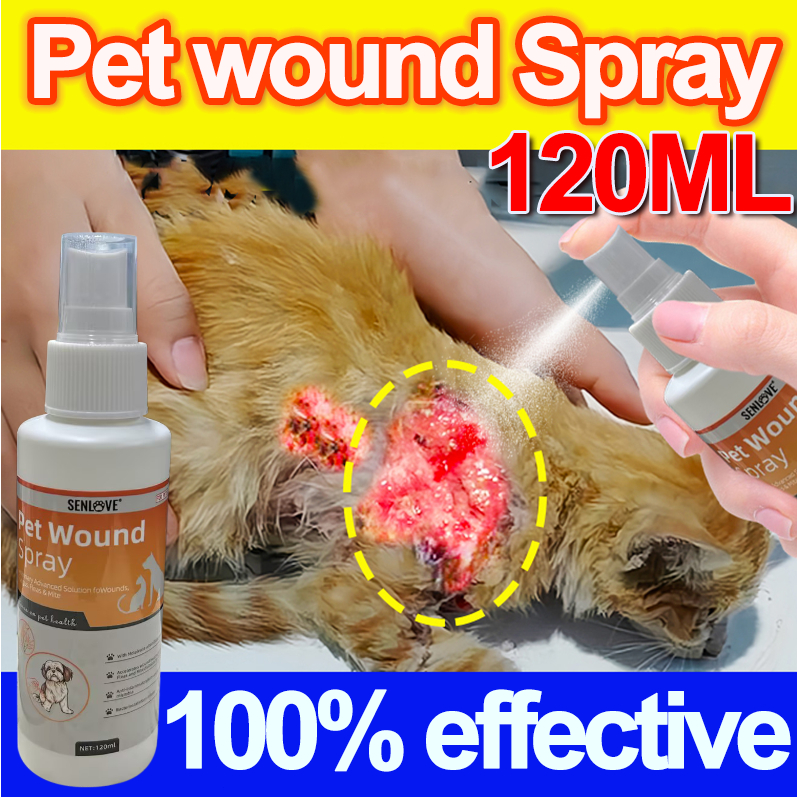 Wound Spray For Dog Anti Fungal For Dogs Spray For Itching Ringworm ...