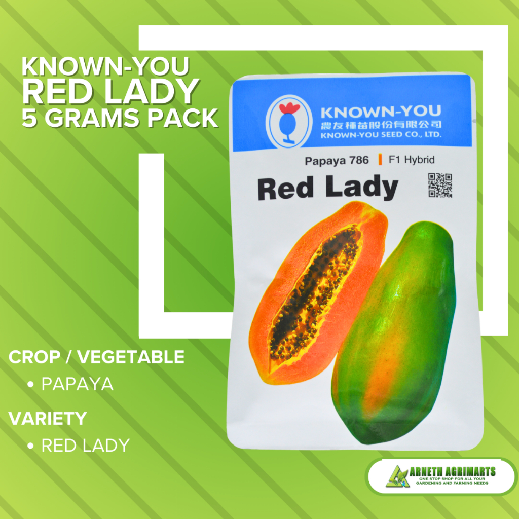 ARNETH RED LADY PAPAYA SEEDS 5grams (360++ seeds) | Shopee Philippines