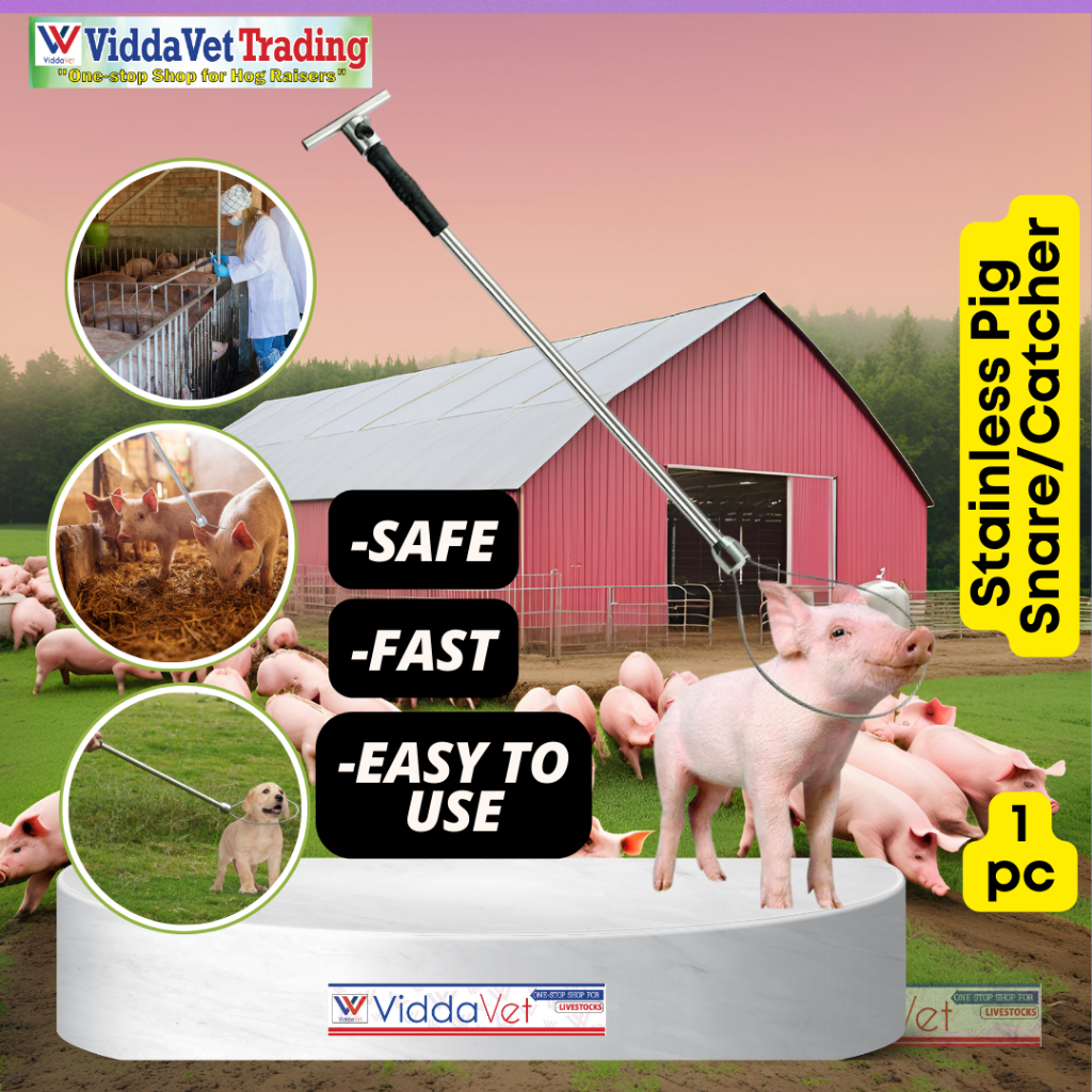 Pig holder catcher stainless steel trap pig catcher stainless steel ...
