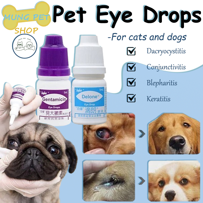 Sinphar Gentamicin Eye Drops for Pets 5ml Pet Eye Drops Cat And Dog Eye ...