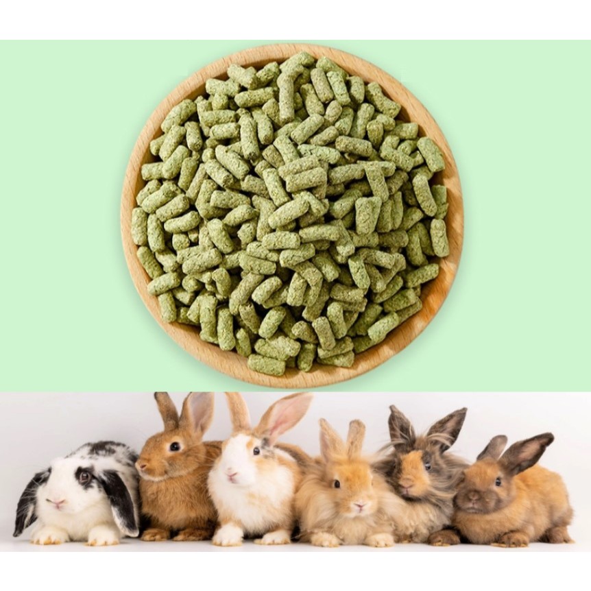 PETHUNDER All Natural Advanced Nutrition Complete Diet Rabbit Timothy ...