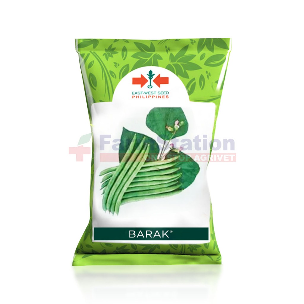 Pole Snap Beans Barak 1000gms (Baguio Beans) | Shopee Philippines