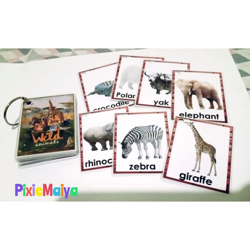 25 Wild Animals Flashcards keychain | Shopee Philippines