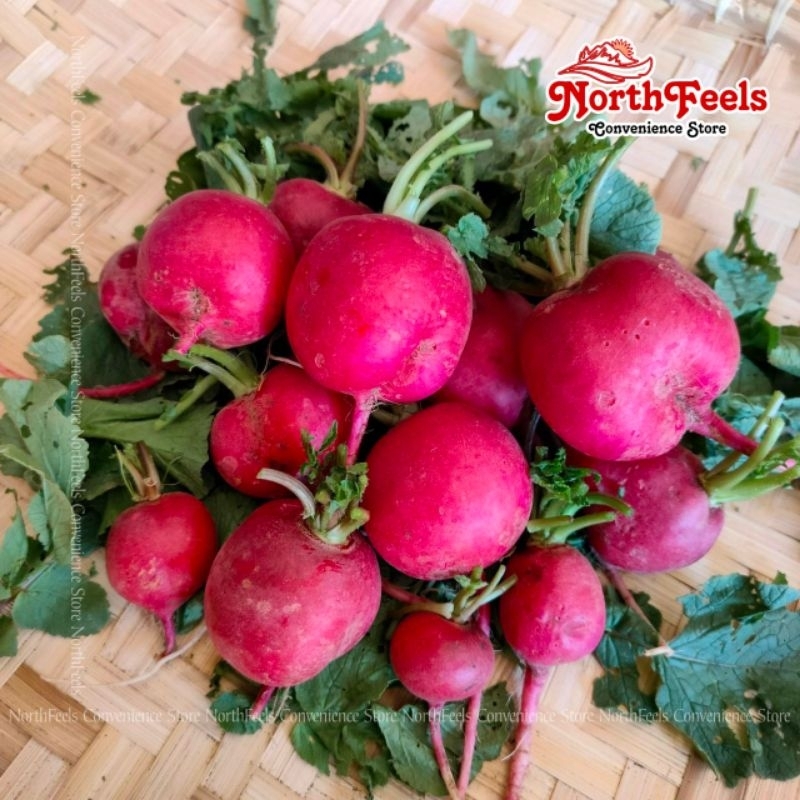 Red Radish - Benguet Organic Harvest | Per Kilo | NorthFeels - Baguio ...