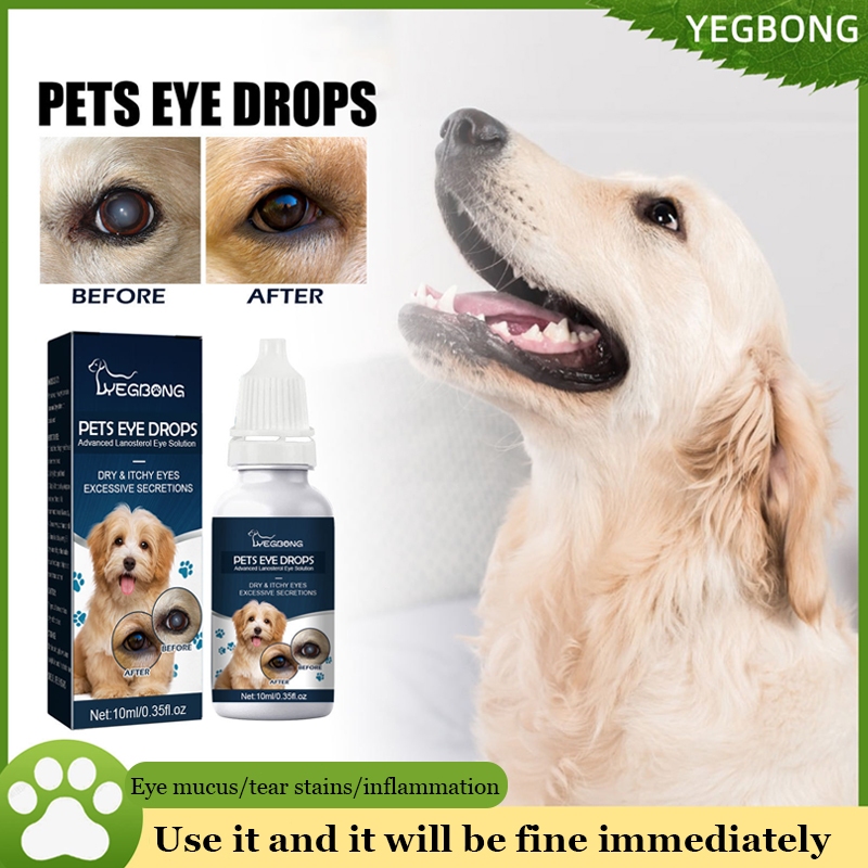 eye drops for dogs eye drops for cats pet eye drops dog eye drop for ...