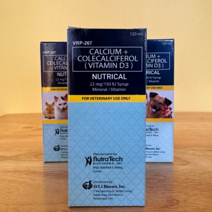 Nutrical Calcium Supplement in Syrup 120 ml | Shopee Philippines