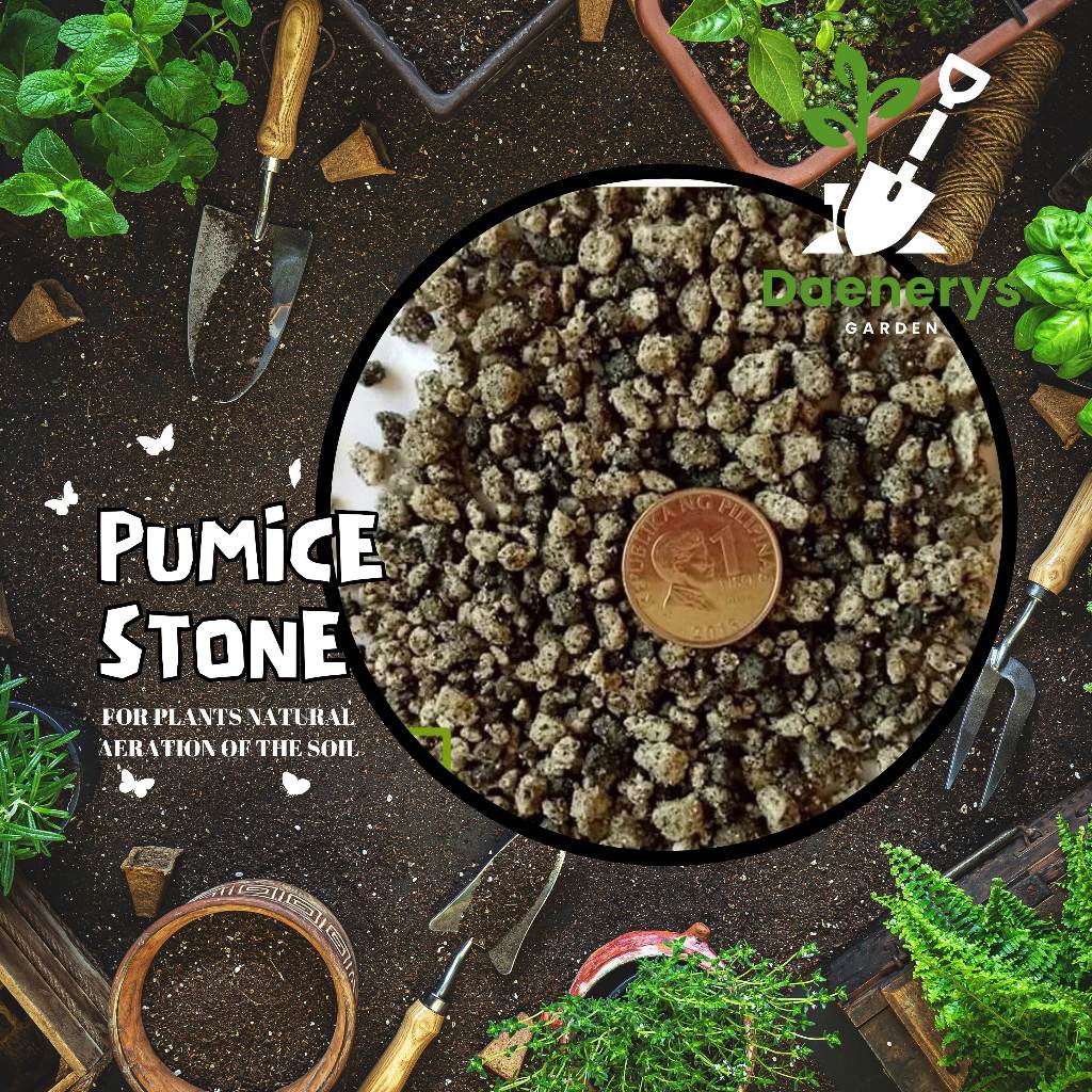 PUMICE ROCK 1kl-5kl per pack | Shopee Philippines