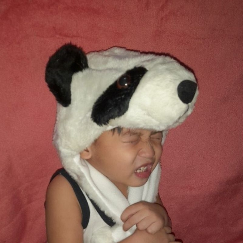 headdress panda, fish goldfish for adult / headband shark lotte world ...