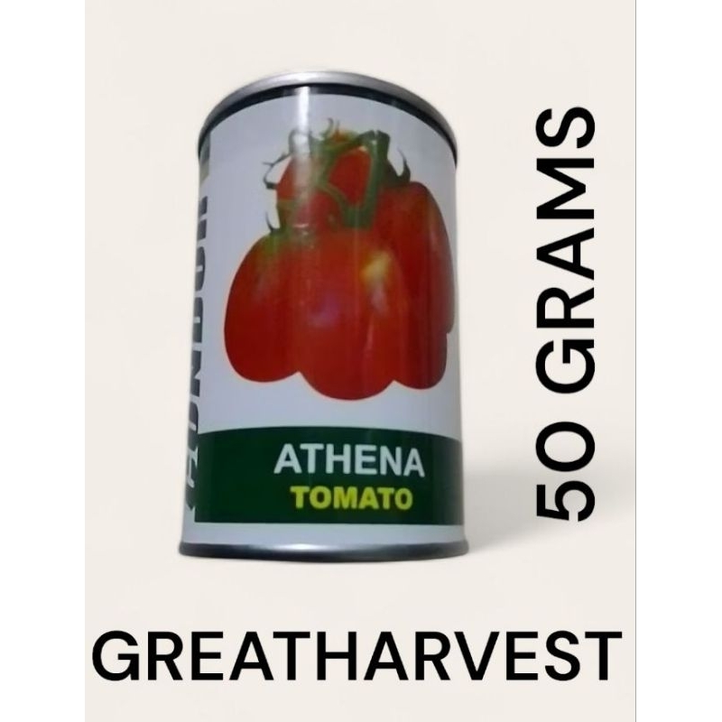ATHENA OPV TOMATO SEEDS(50 GRAMS )CONDOR SEEDS | Shopee Philippines