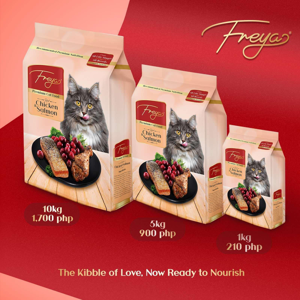 Freya Premium Dry Cat Food for Cats and Kittens - Chicken & Salmon (1kg ...