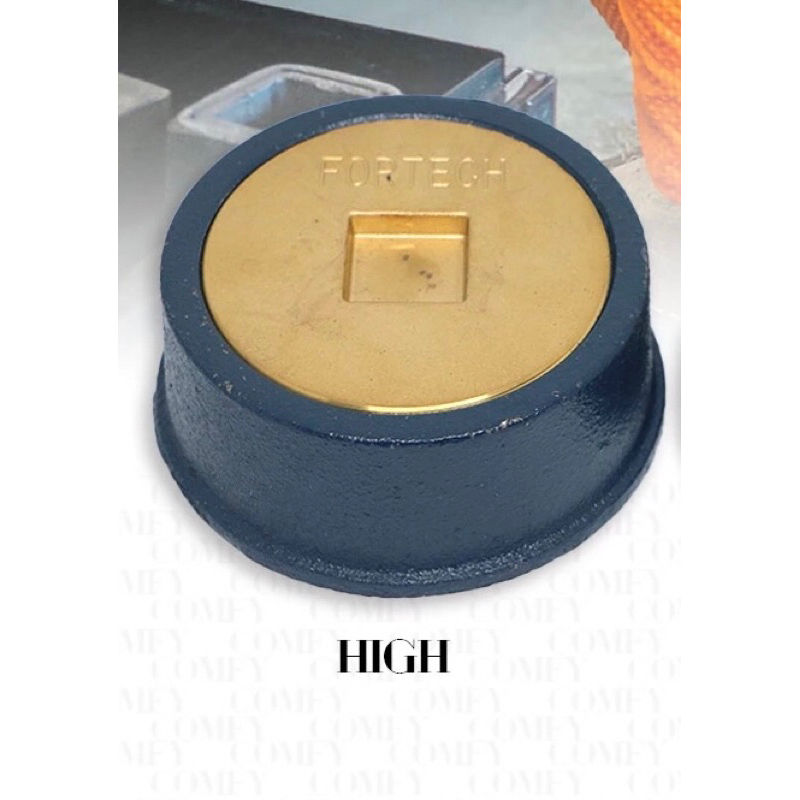4 INCH HIGH FORTECH HEAVY DUTY Brass Clean Out/Packet Bushing Cap Plug ...