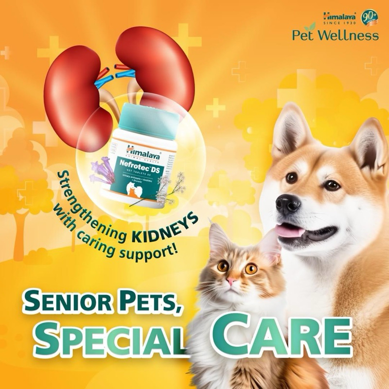 Nefrotec DS and Regular for Dogs and Cats (Authentic Himalaya Product ...