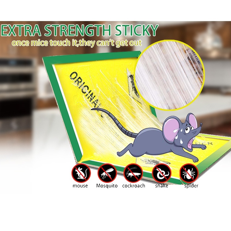 Mouse Trap Mouse Glue Traps Boards Sticky for Rat Mice, Strongly ...