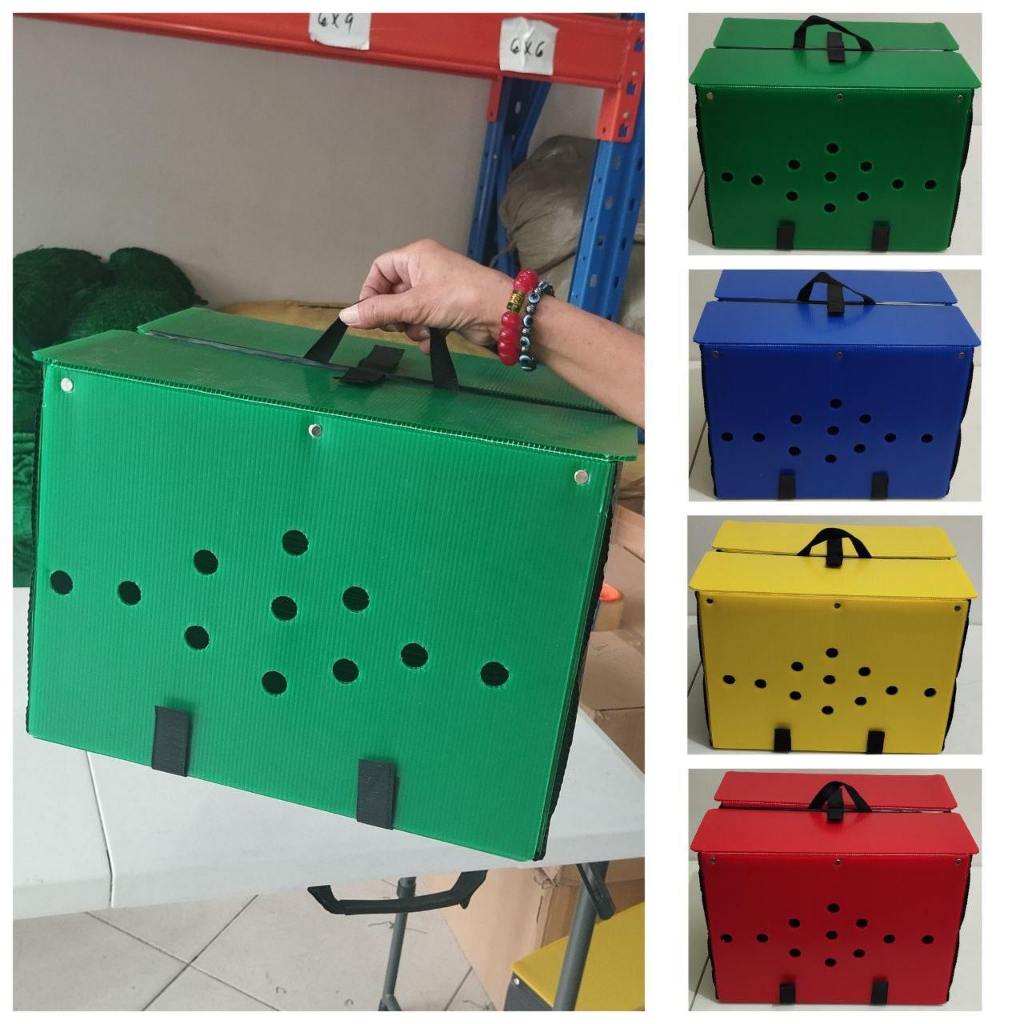 Double plastic derby box collapsible | Shopee Philippines