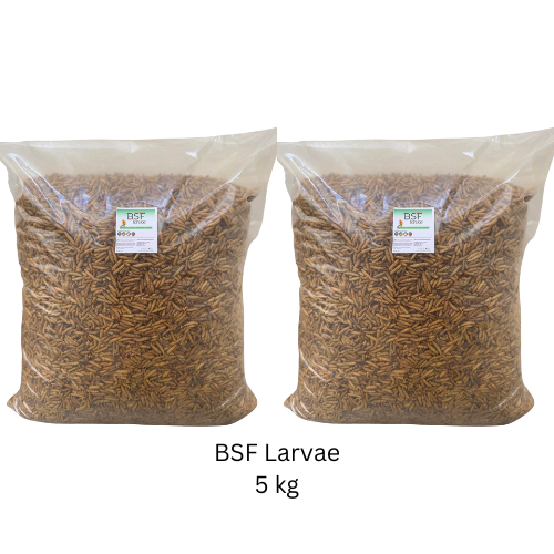 Wholesale Dried BSF Larvae Pet Food for Fish, Bird, Hamster, and ...