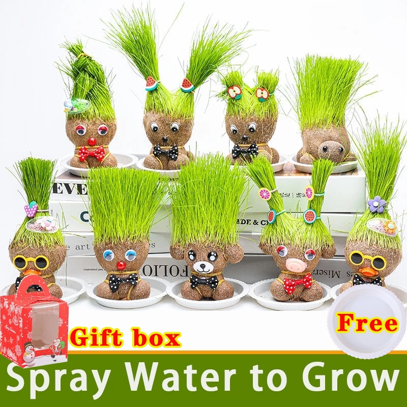 Grass Head Decor Children Growing Grass Doll Toys Office Table Plant ...