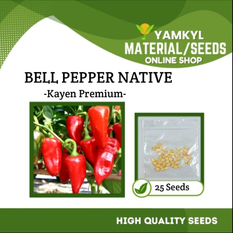 BELL PEPPER NATIVE SEEDS ( KAYEN PREMIUM ) High Quality Vegetable Seeds ...