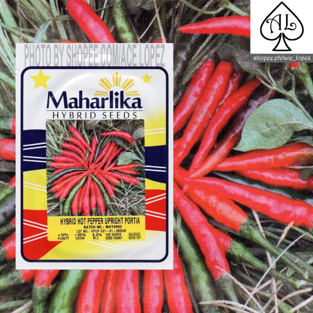 Upright Portia Hybrid Hot Pepper Seeds (100) - Maharlika Seeds als21207 ...
