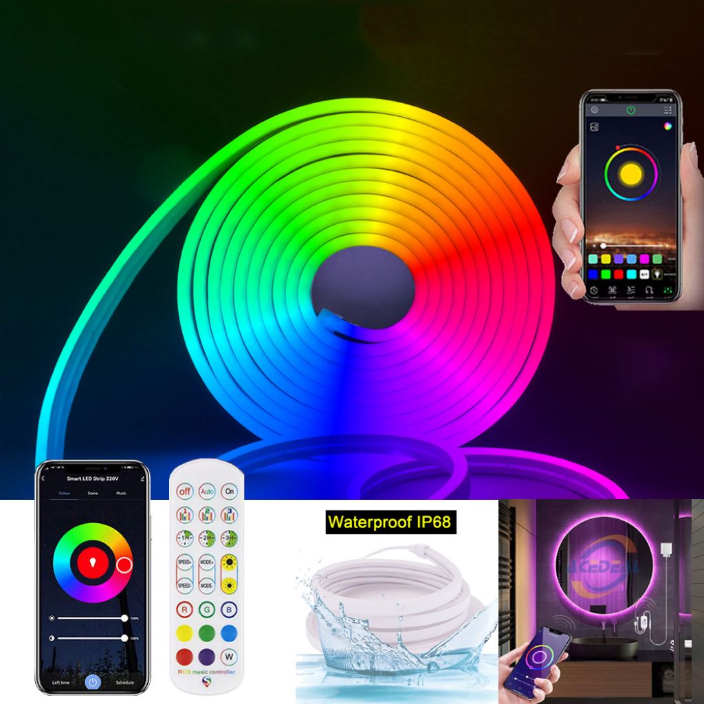 RGB LED Neon Strip Light Bluetooth control with remote Control ，Music ...