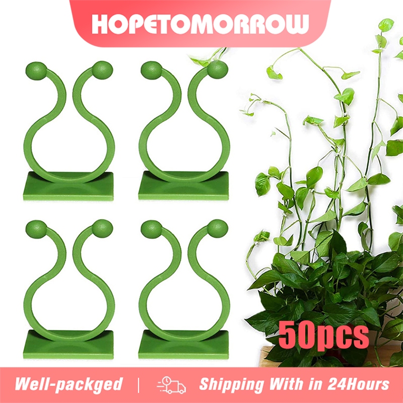 50Pcs Plant Climbing Wall Fixture Clips,Self-Adhesive Invisible Wall ...