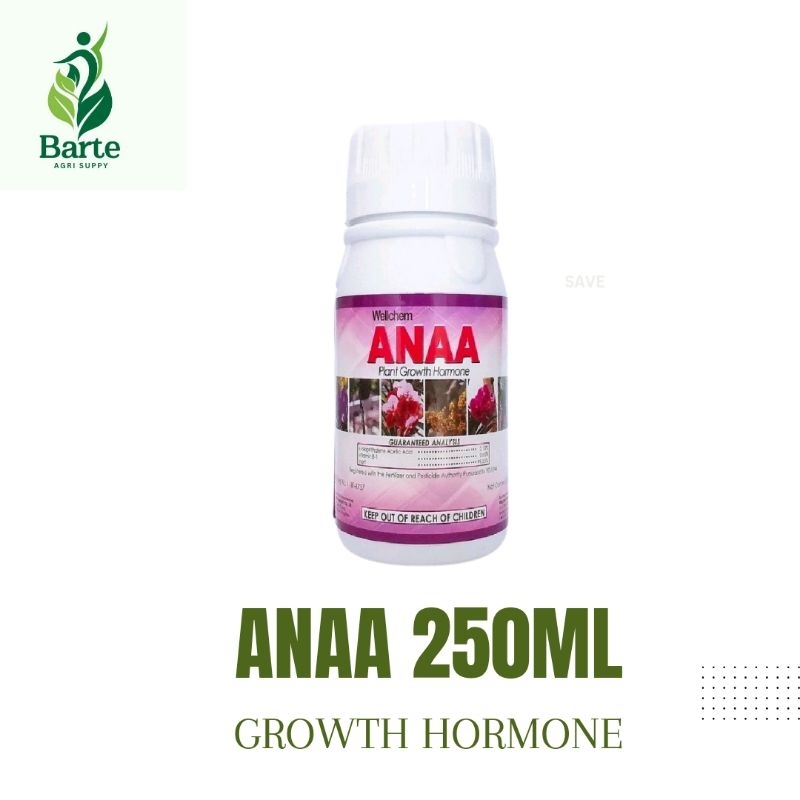 ANAA plant growth hormone (250ml) | Shopee Philippines